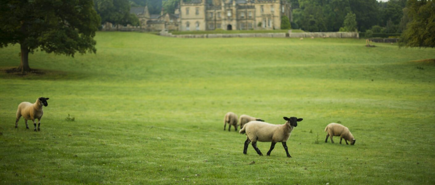 About us – Capernwray